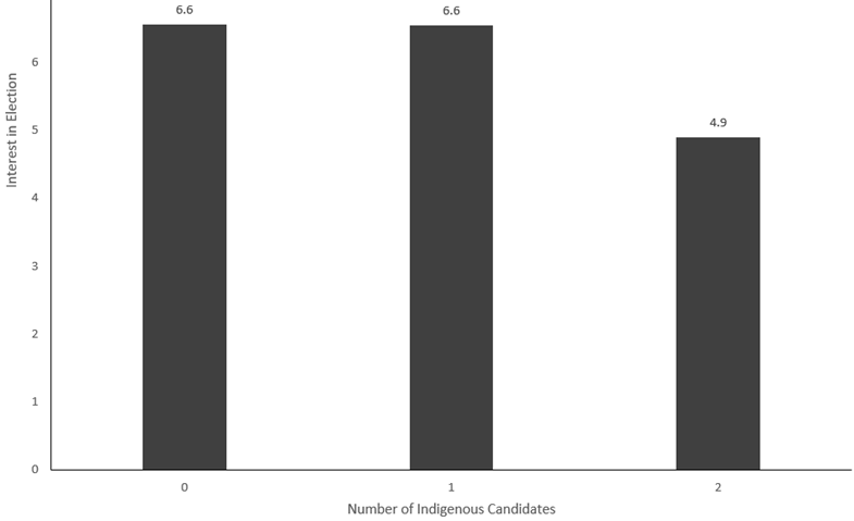 Introduction – Candidate Diversity and Racialized and Indigenous ...