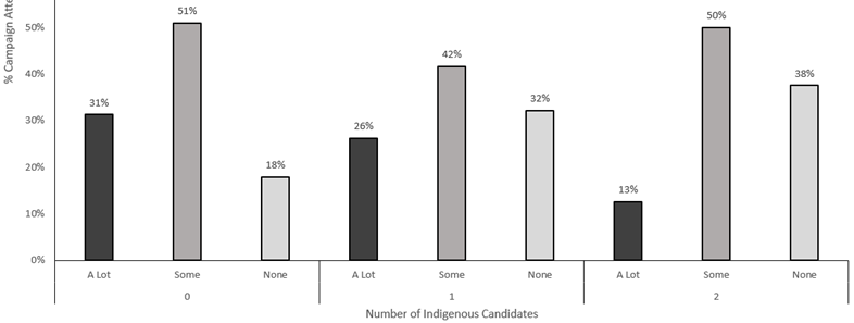 Introduction – Candidate Diversity and Racialized and Indigenous ...