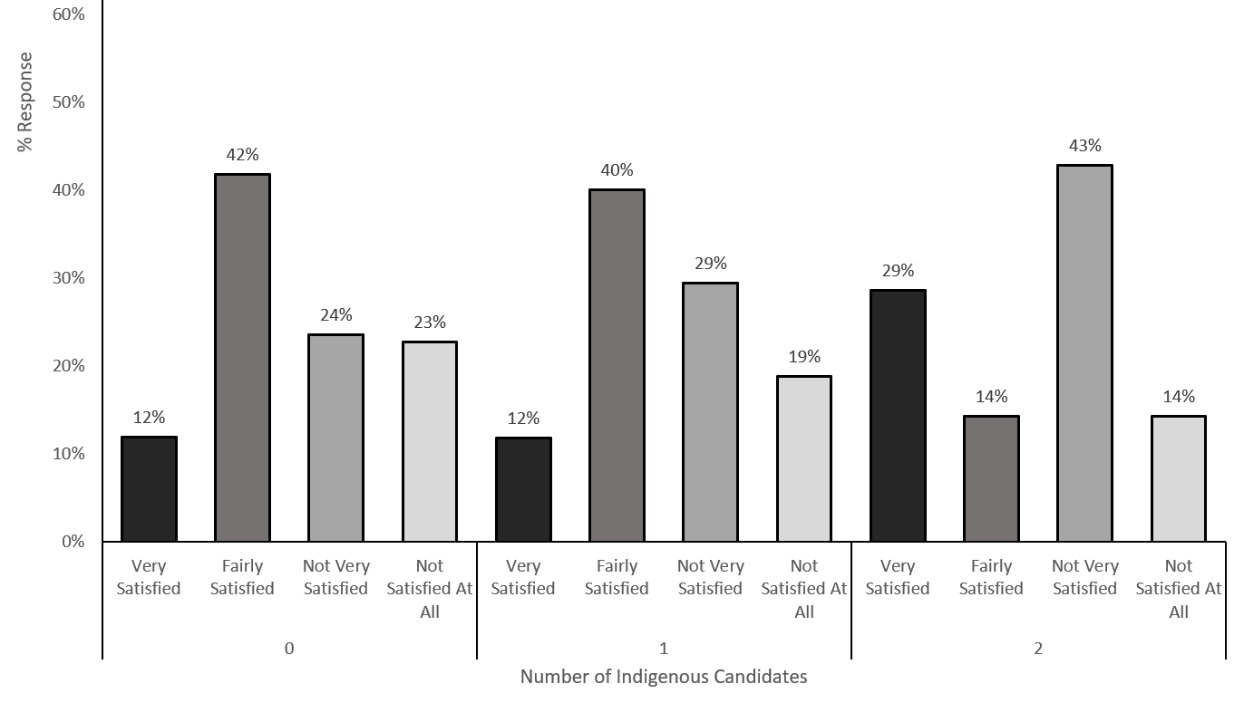 Introduction – Candidate Diversity and Racialized and Indigenous ...